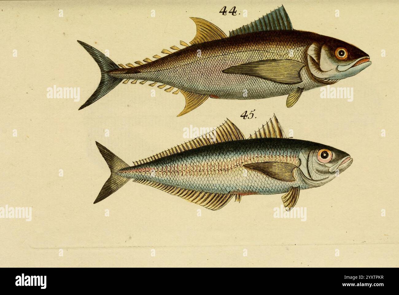 Labeled 44 hi-res stock photography and images - Alamy