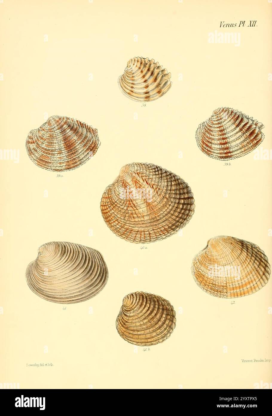 Careful artistry captures hi-res stock photography and images - Alamy