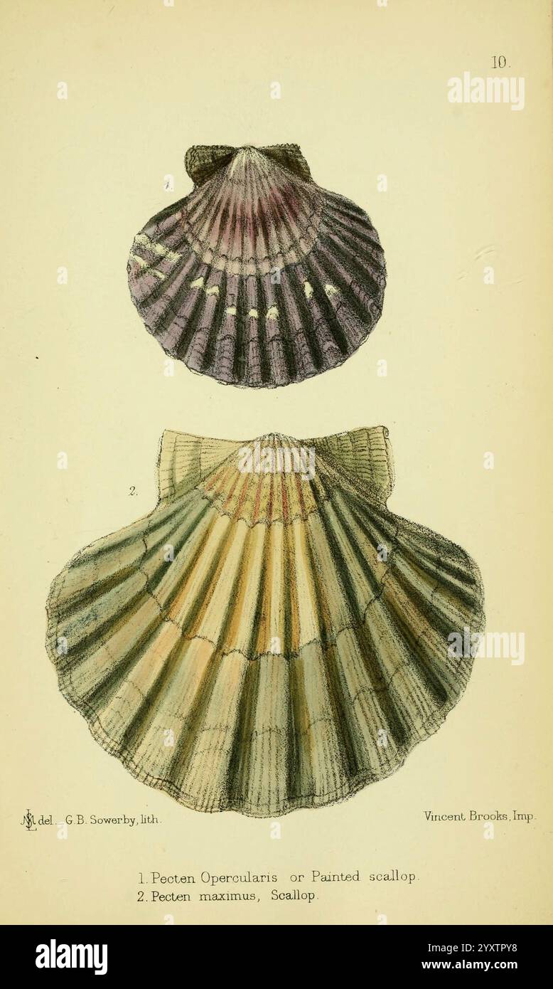 Designated numbering hi-res stock photography and images - Alamy