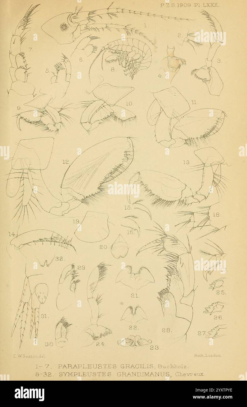 Proceedings of the Zoological Society of London, London, Academic Press ...