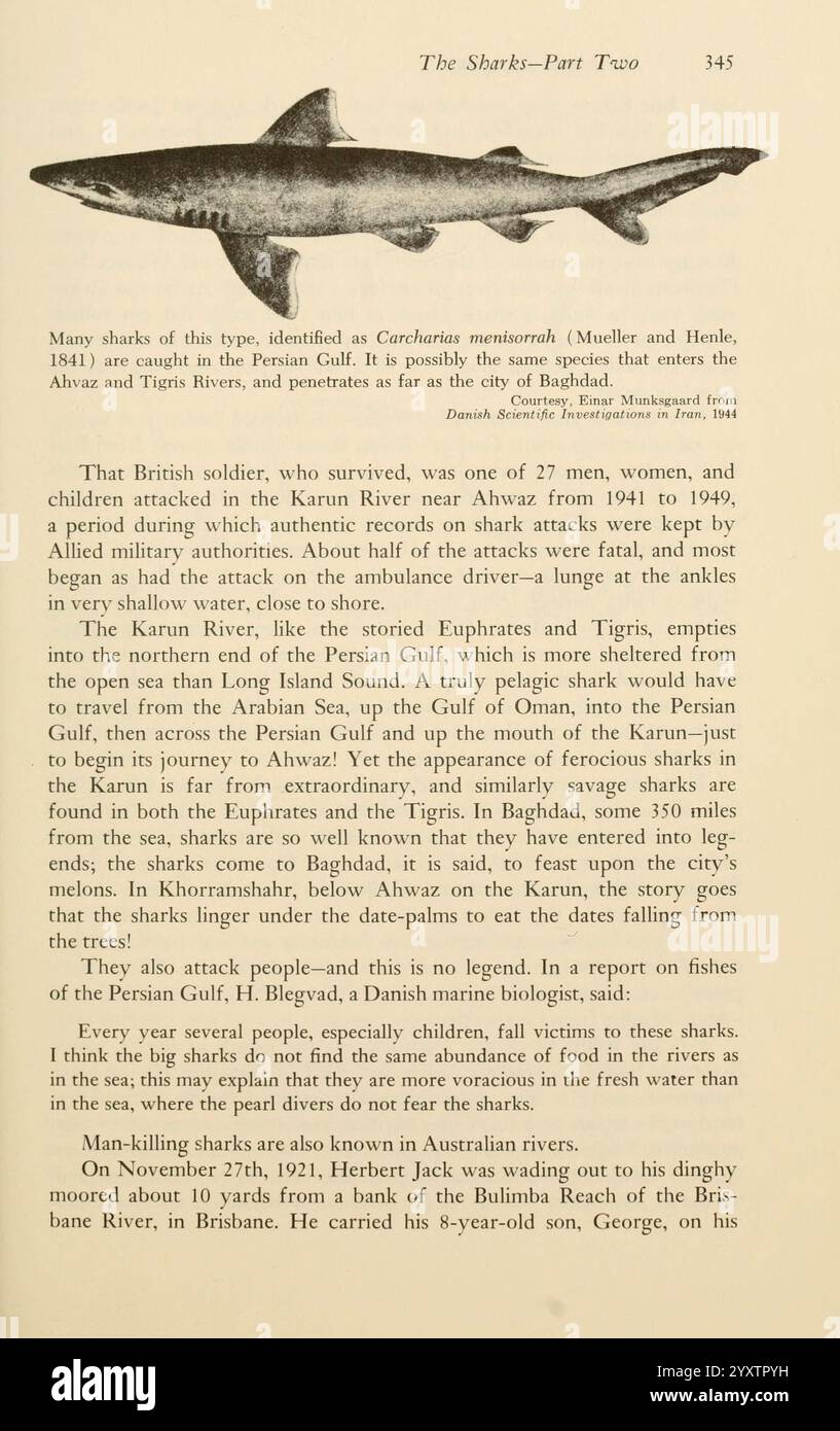 Deeper narrative hi-res stock photography and images - Alamy