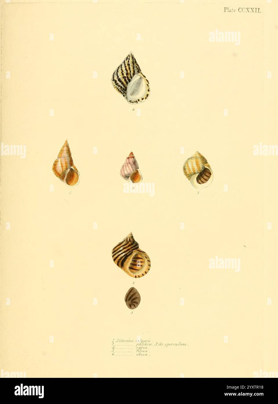 Exhibit bold stripes hi-res stock photography and images - Alamy