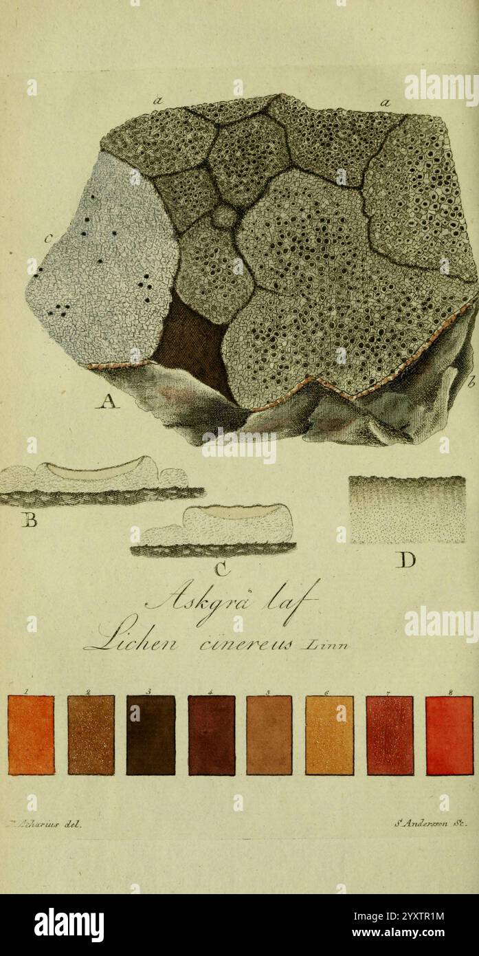 Color palette displays different shades hi-res stock photography and ...