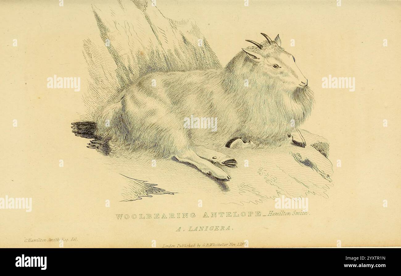 The animal kingdom, London, Printed for G.B. Whittaker, 1827-1835 ...