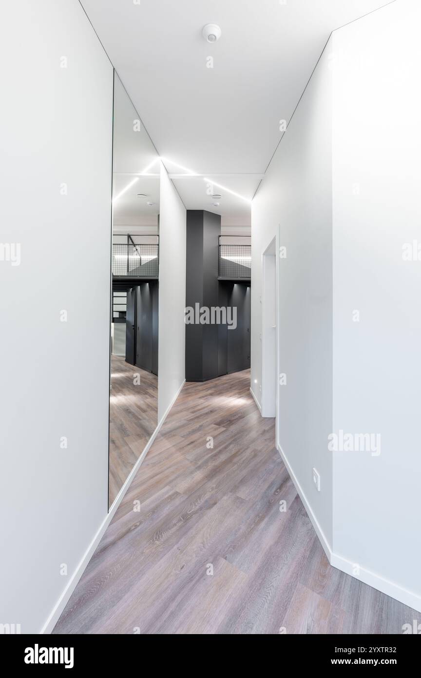 A sleek contemporary hallway featuring clean lines, geometric architecture, elegant wooden ...