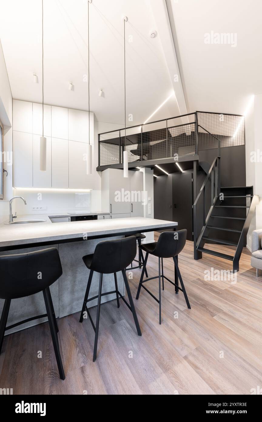 A sleek and contemporary loft apartment featuring an open kitchen ...