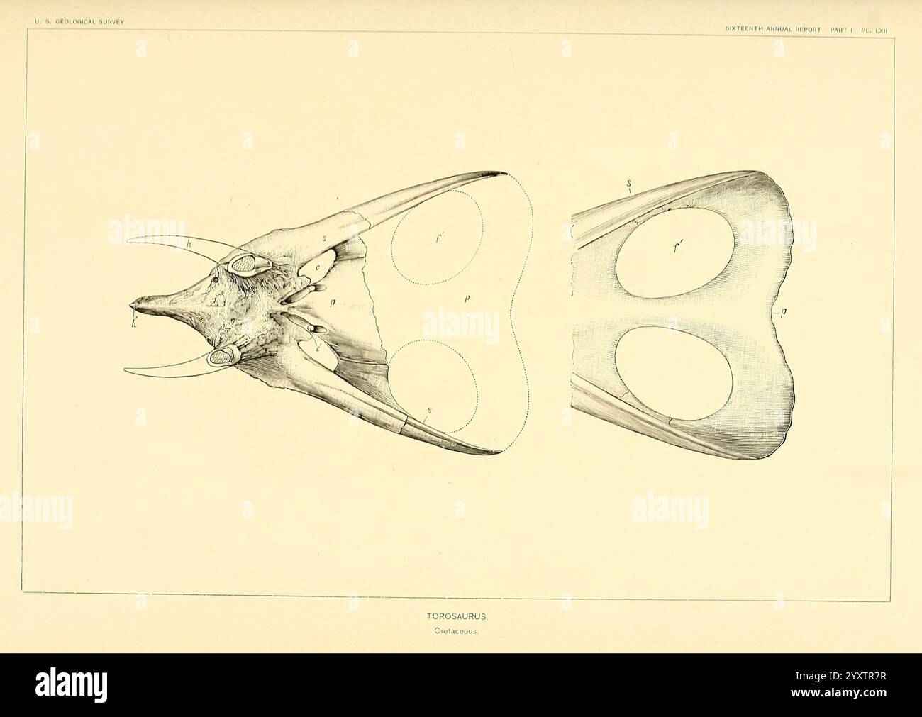 The dinosaurs of North America, Washington, Govt. Print, 1896 ...