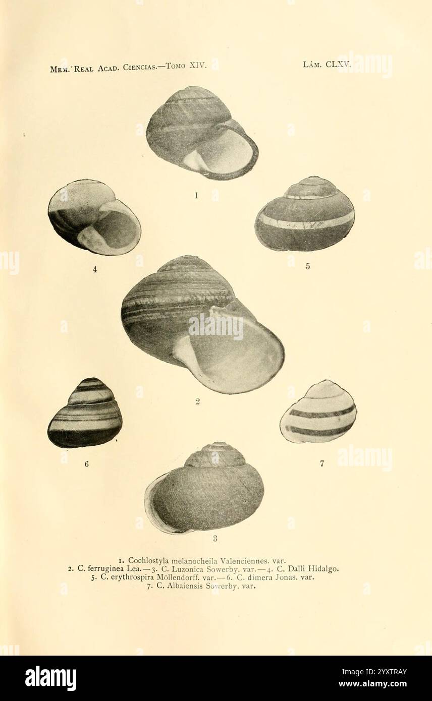 Provides valuable visual information hi-res stock photography and ...