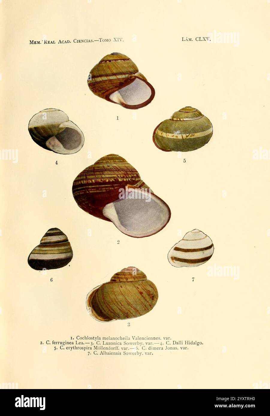 Thoughtfully labeled hi-res stock photography and images - Alamy