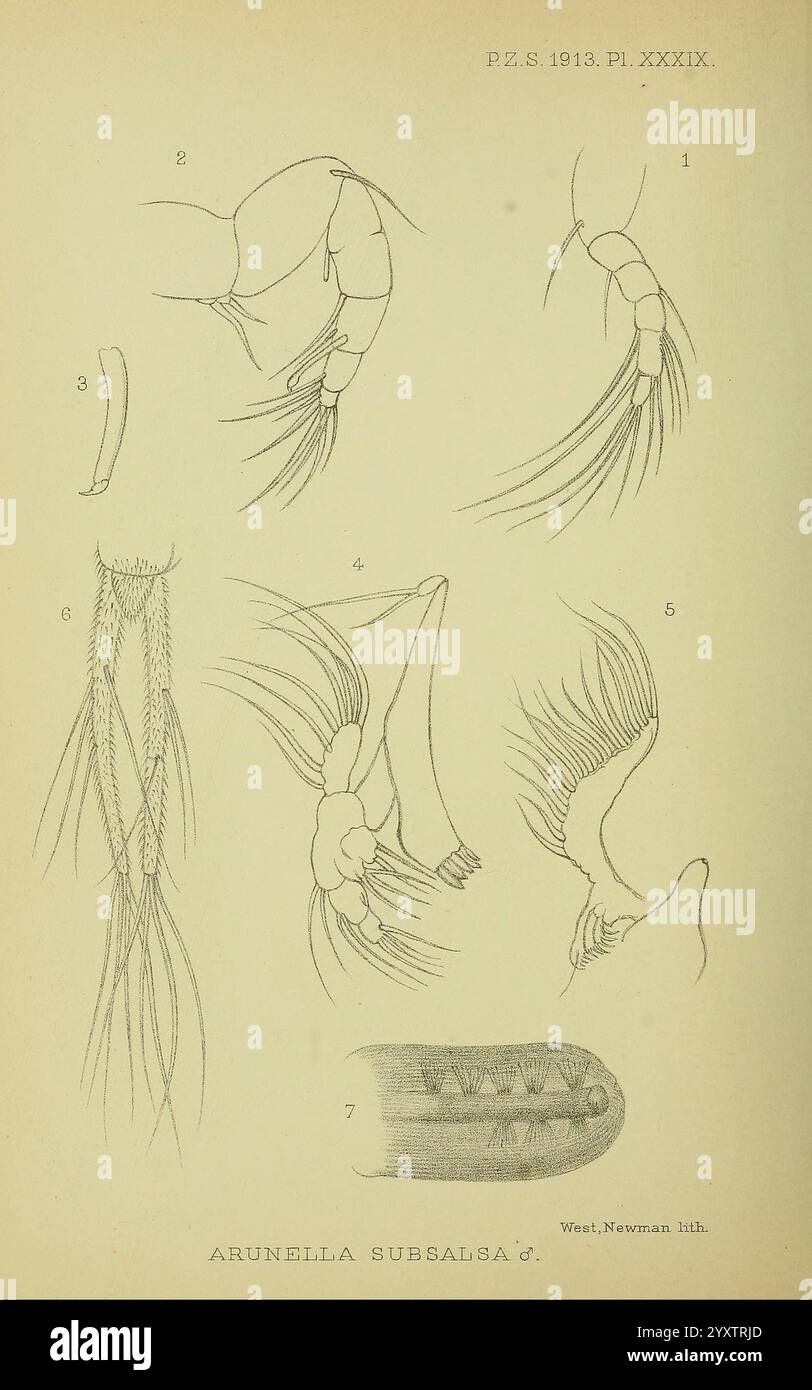 Proceedings of the Zoological Society of London, London, Academic Press ...