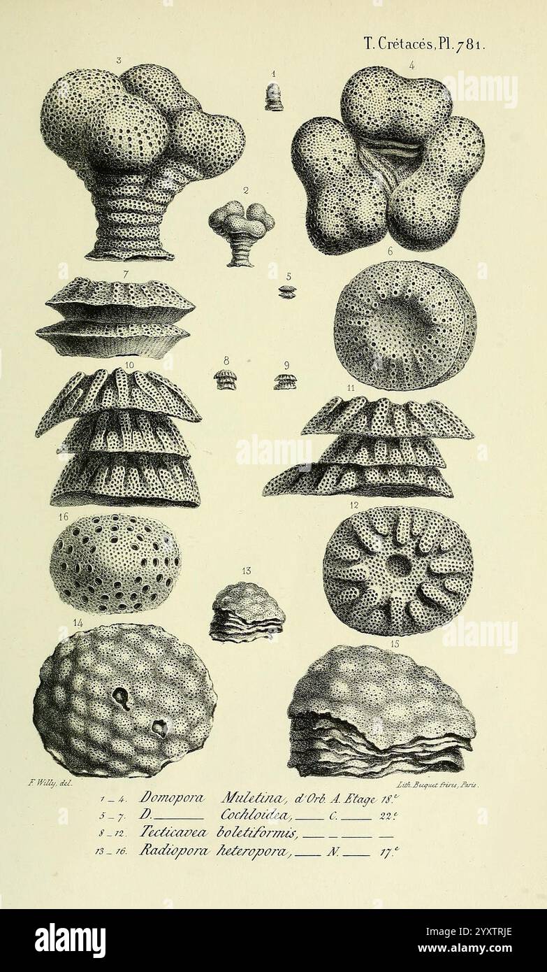 Indicating different classifications hi-res stock photography and images - Alamy