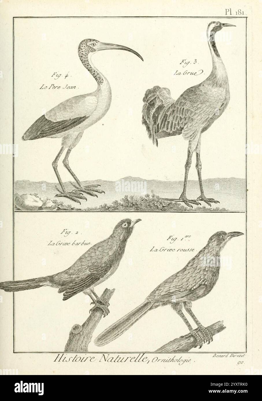 Tableau encyclopédique et méthodique des trois règnes de la nature A ...