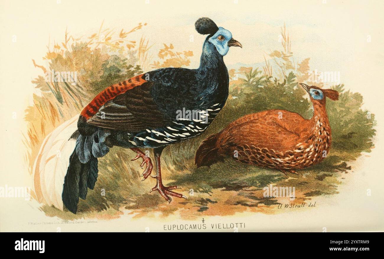 Displays warm shades hi-res stock photography and images - Alamy