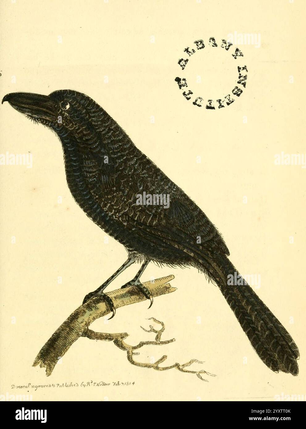 Faint stamp hi-res stock photography and images - Alamy