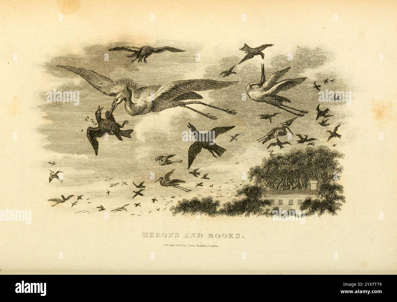 Varied formations create hi-res stock photography and images - Alamy