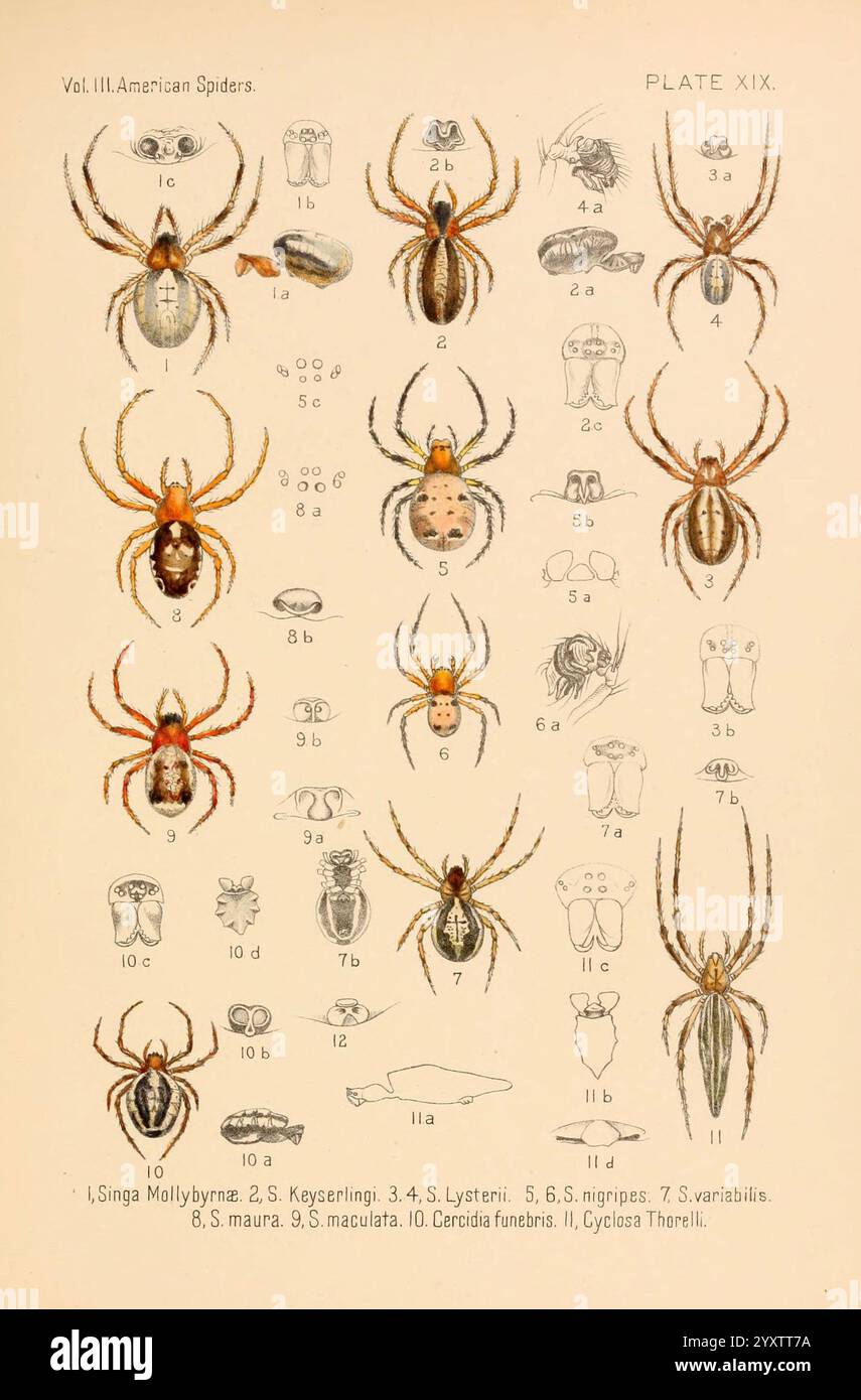 Highlight specific physical characteristics hi-res stock photography ...