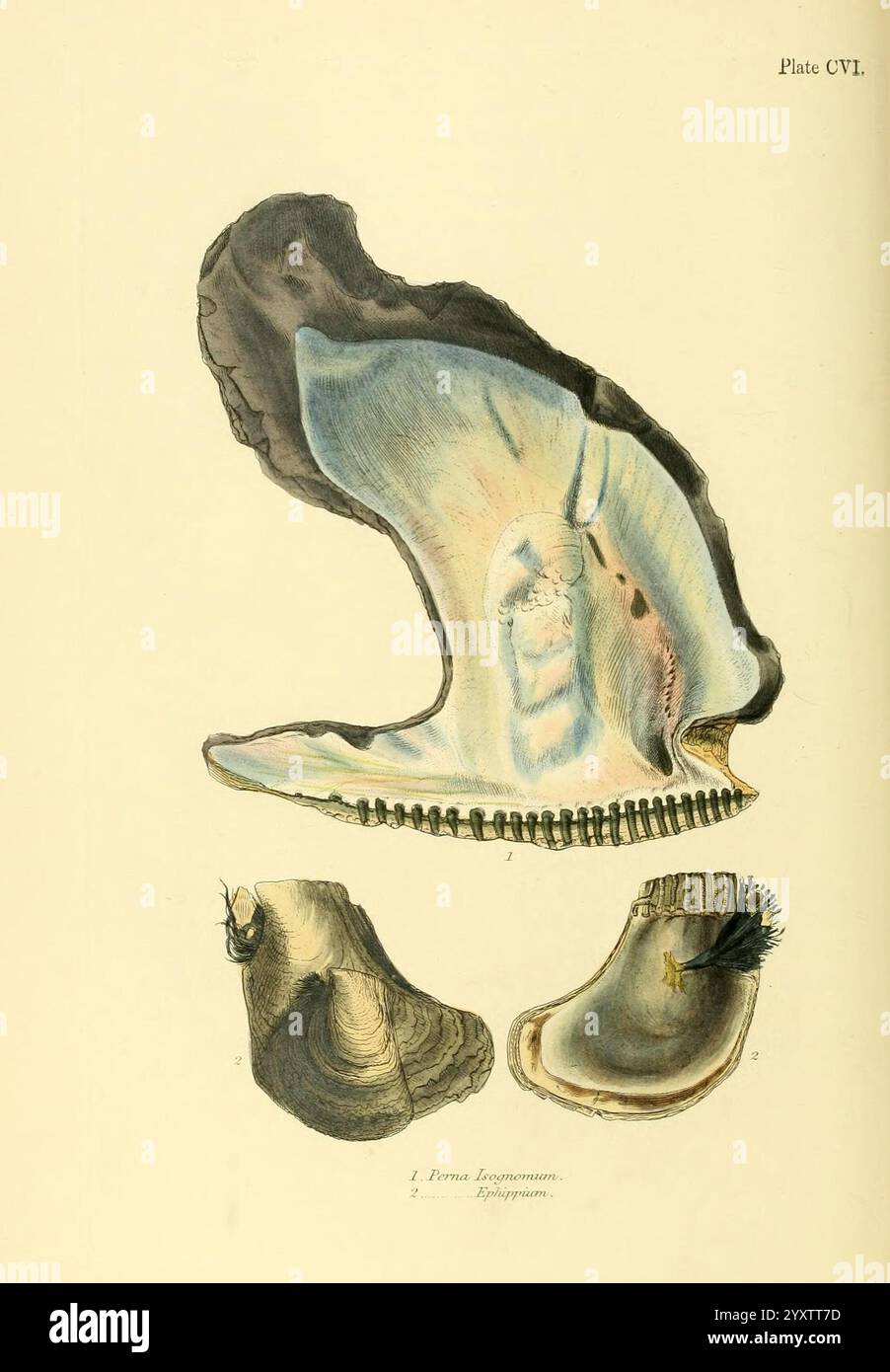 Highlight different angles hi-res stock photography and images - Alamy