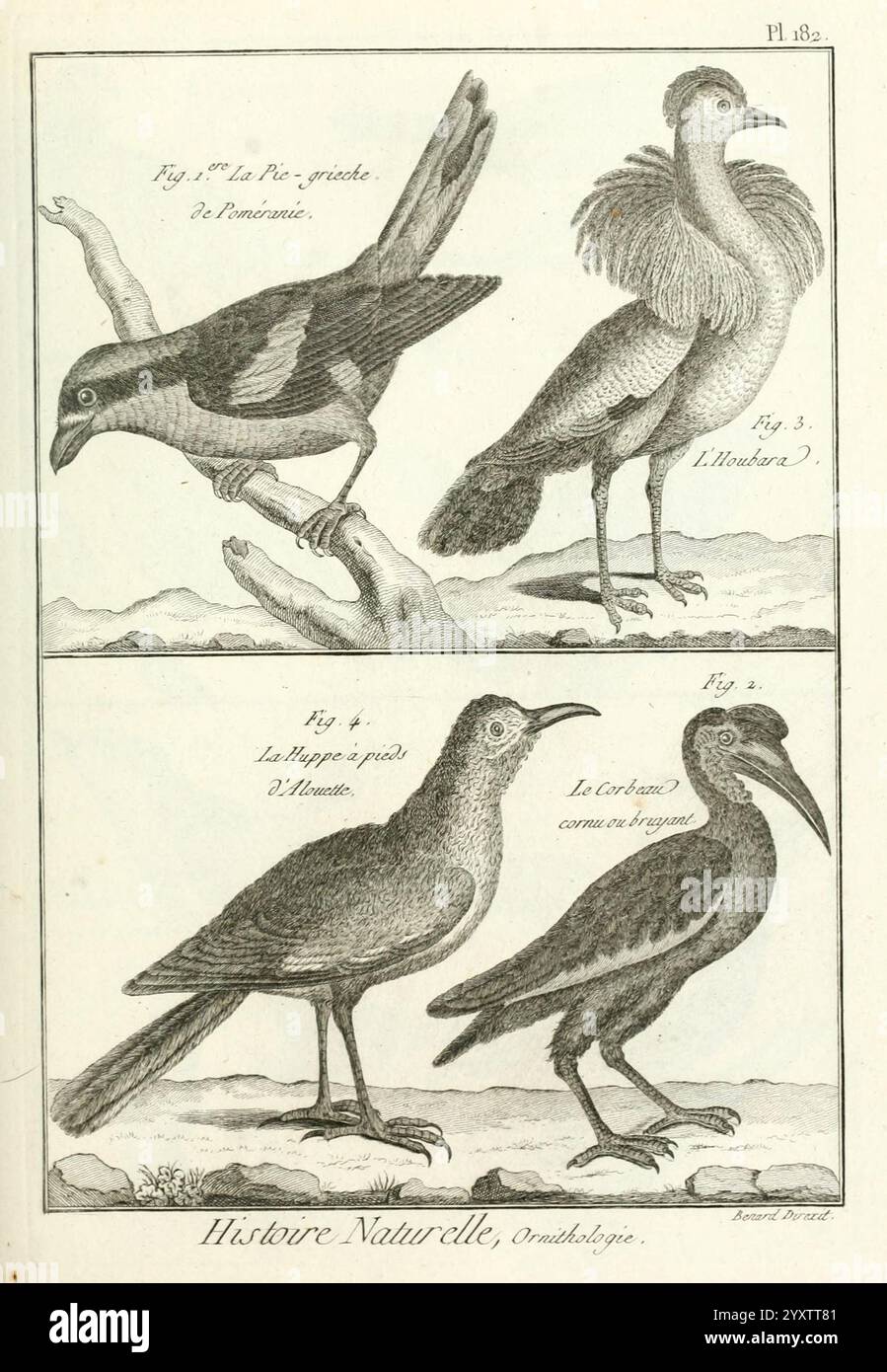 Final form displays hi-res stock photography and images - Alamy