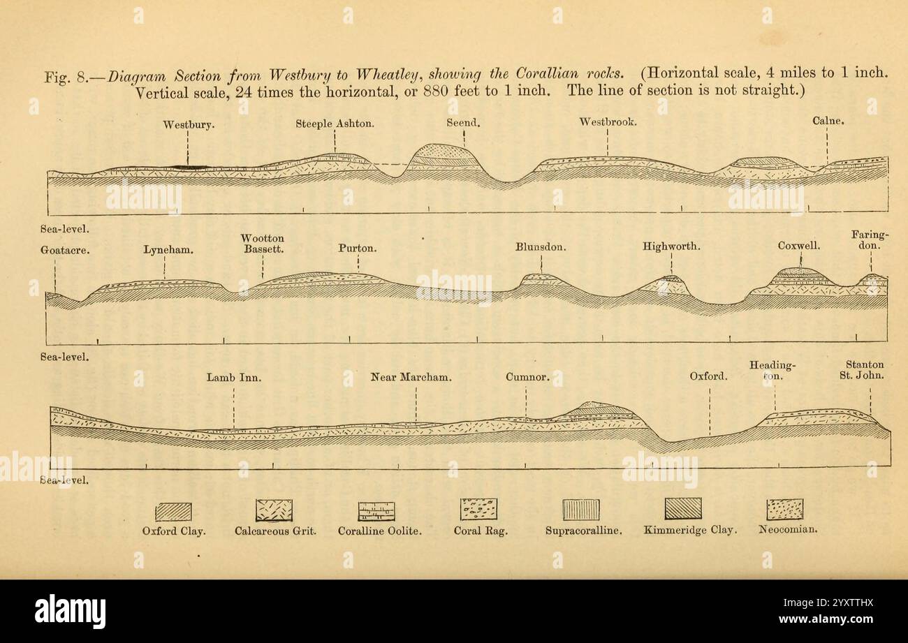 Section highlights different geological features hi-res stock ...