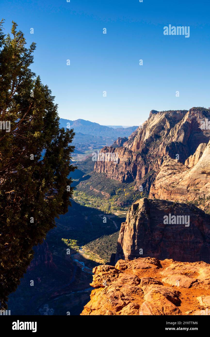 Morning view looking north from Observation Point into the Virgin River ...