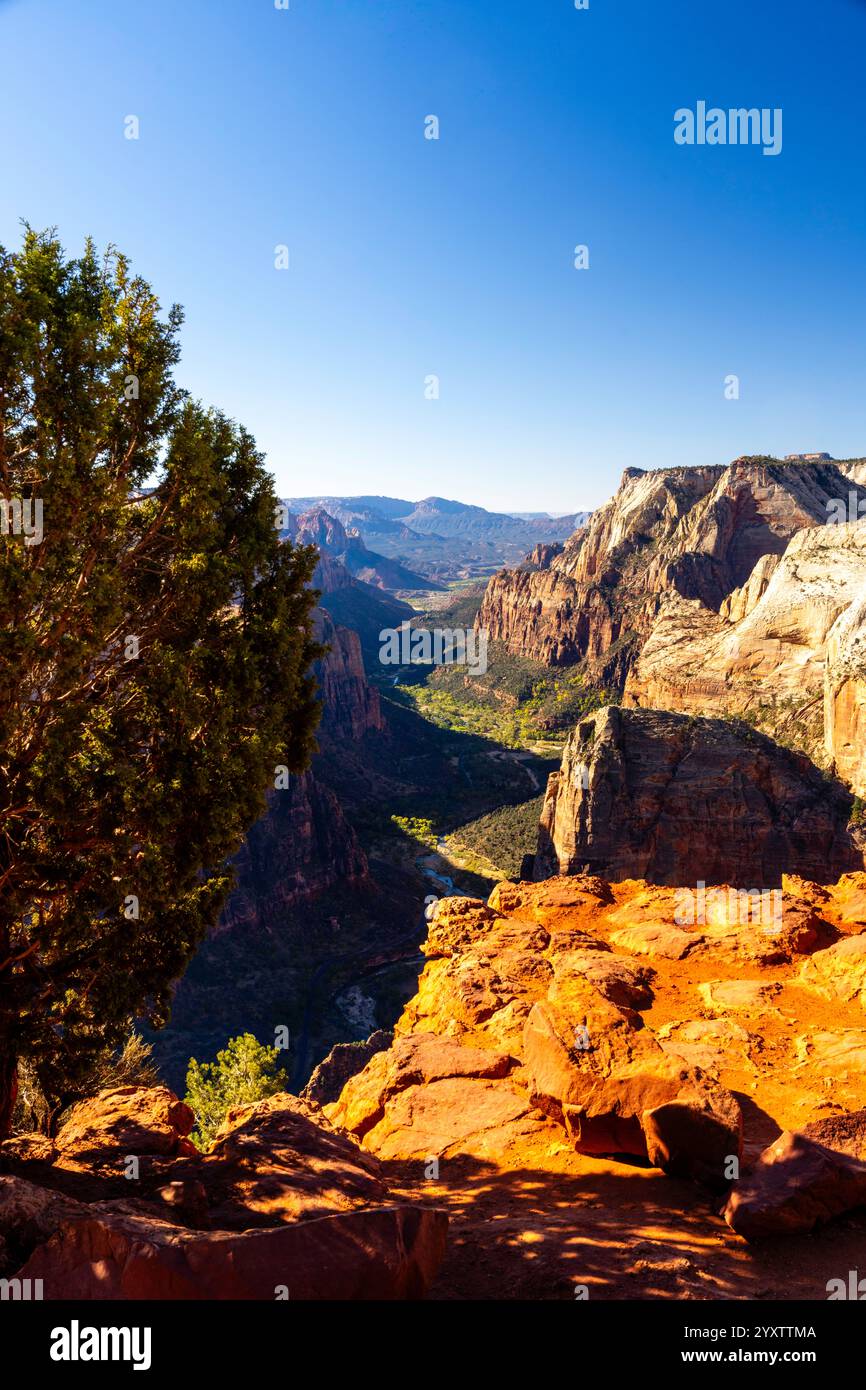 Morning view looking north from Observation Point into the Virgin River ...