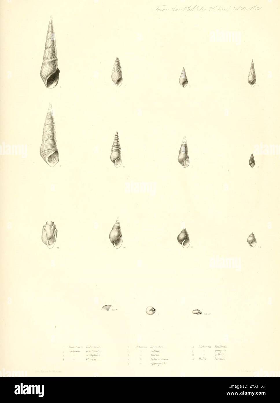 Transactions of the American Philosophical Society, Philadelphia ...