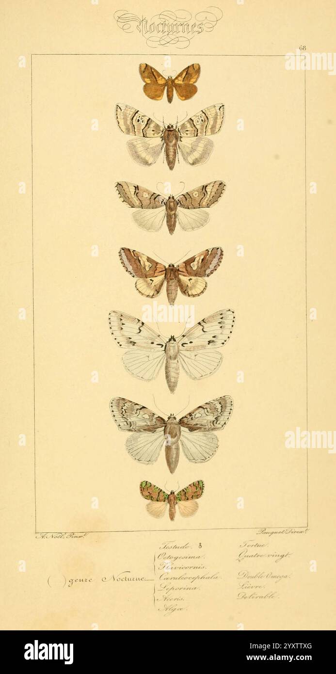 Topmost specimen displays hi-res stock photography and images - Alamy