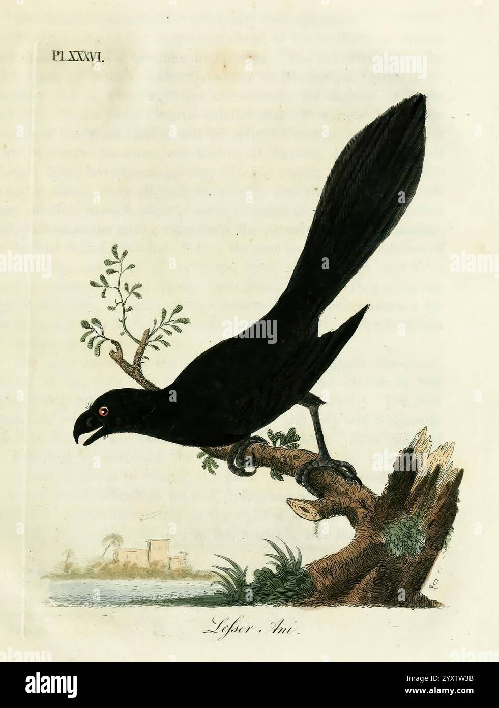 Captured mid pose hi-res stock photography and images - Alamy