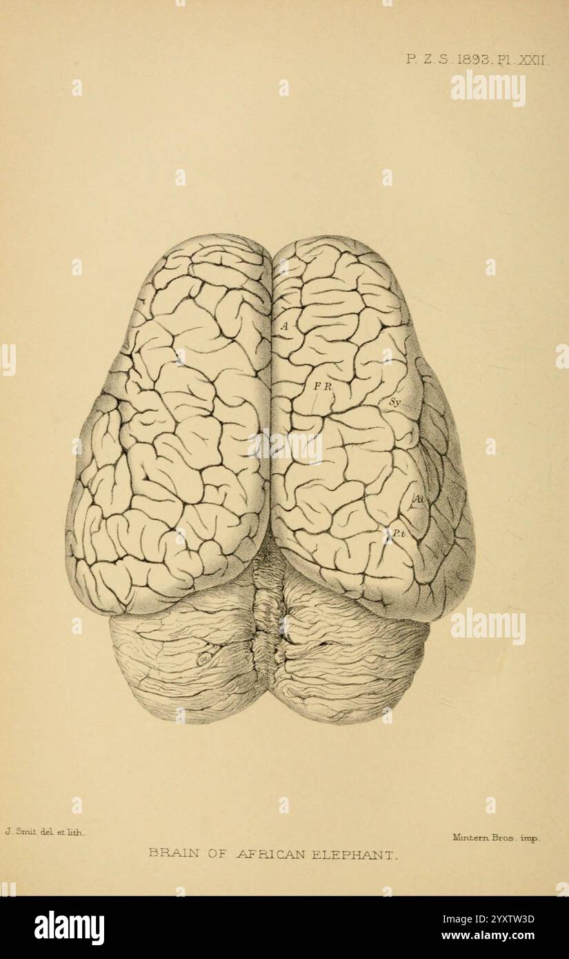 Proceedings of the Zoological Society of London, London, Academic Press ...