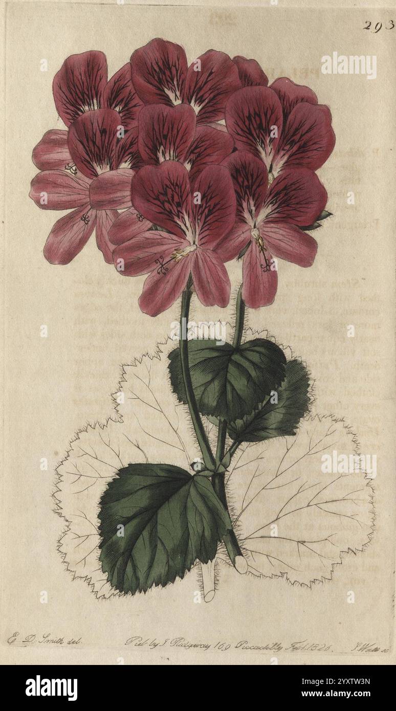 Exhibit rounded edges hi-res stock photography and images - Alamy