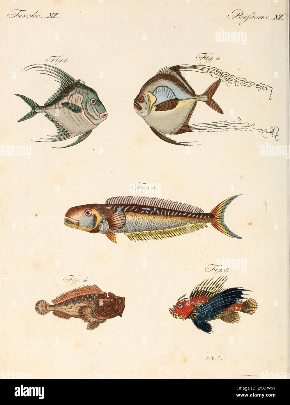 Third fish exhibits hi-res stock photography and images - Alamy