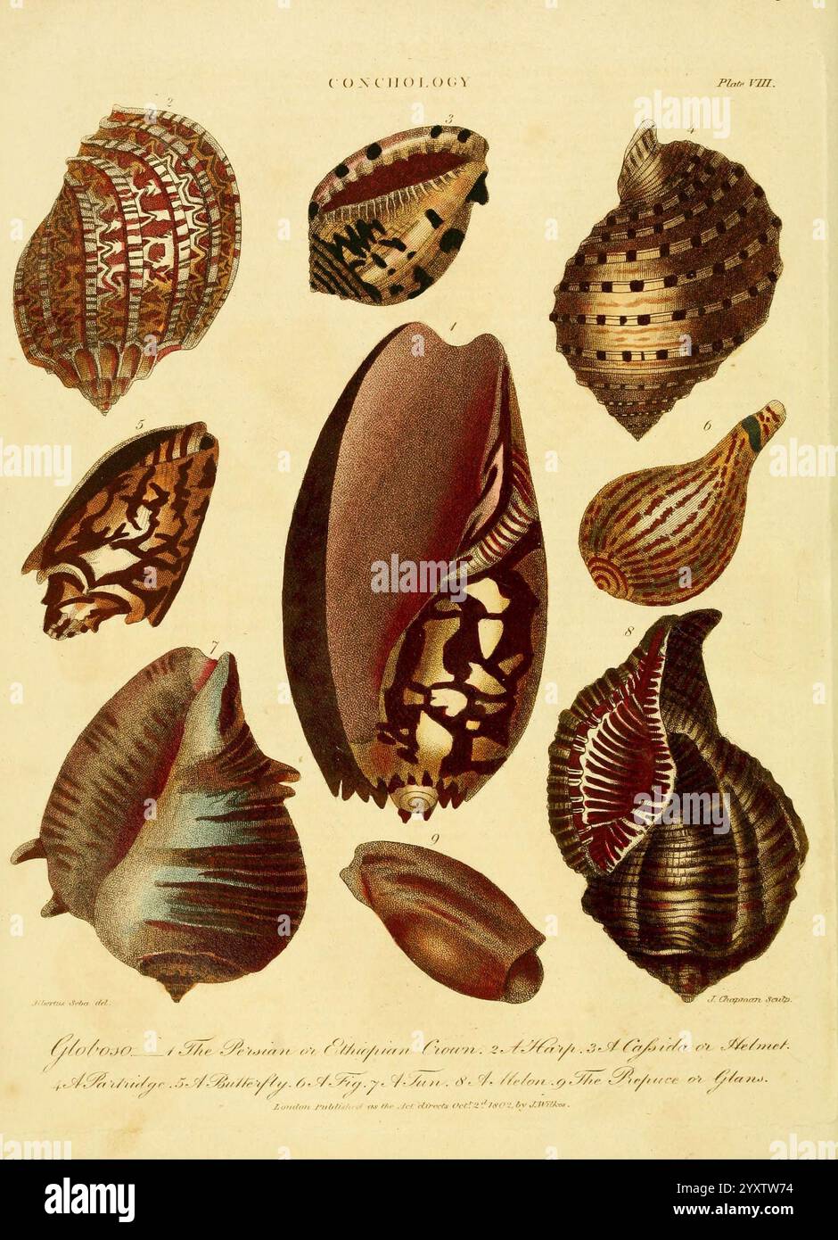 Encyclopaedia londinensis, or Universal dictionary of arts, sciences ...