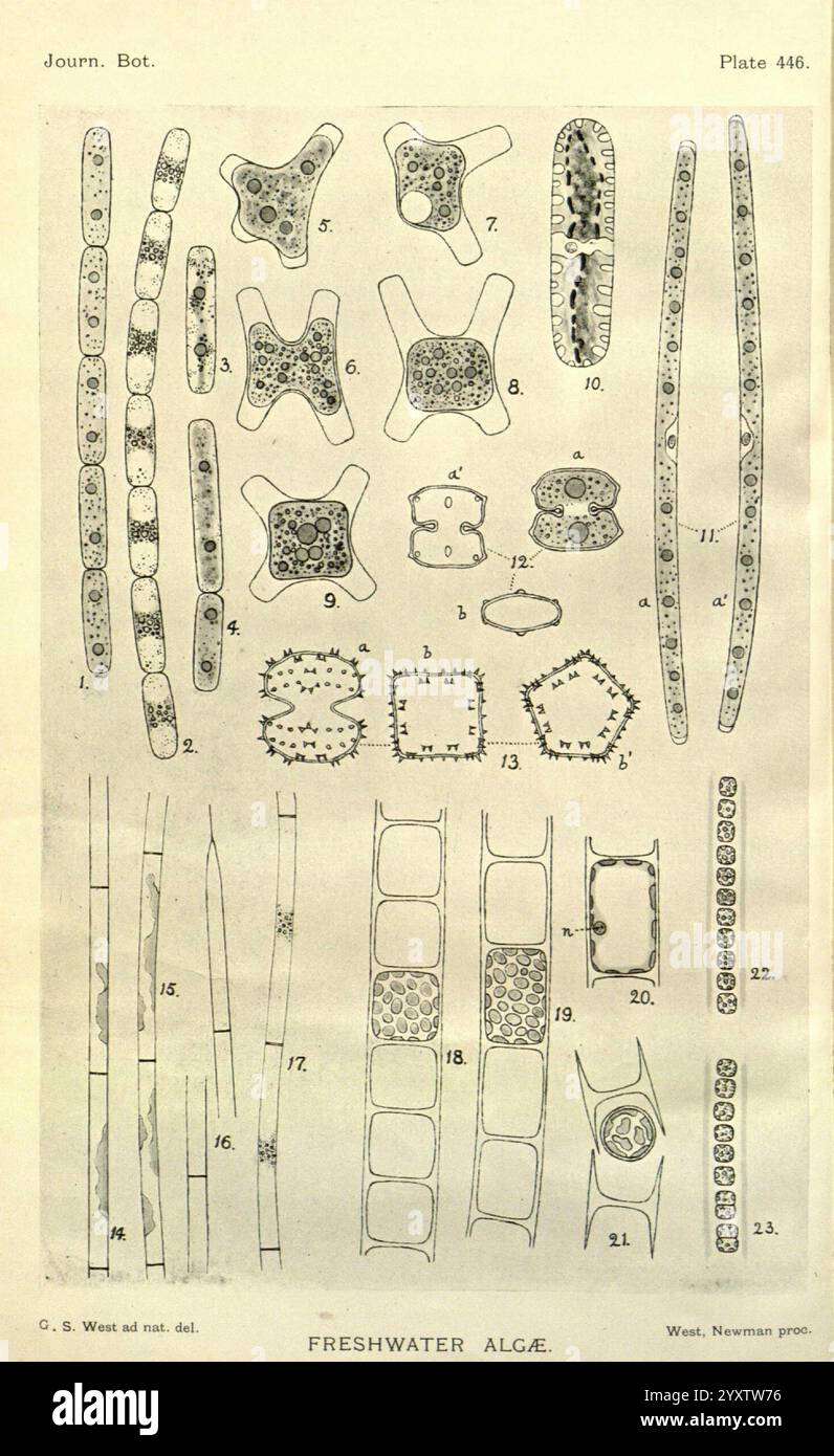 Elongated configurations hi-res stock photography and images - Alamy