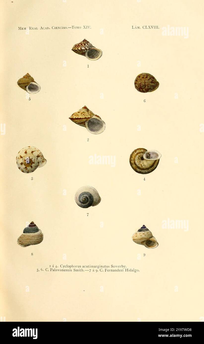 Real life depiction hi-res stock photography and images - Alamy