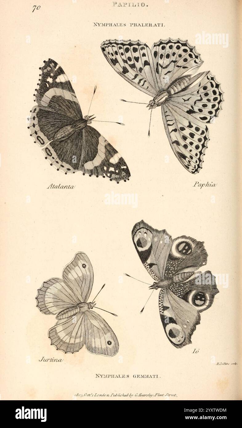 Delicate detailing reflects hi-res stock photography and images - Alamy