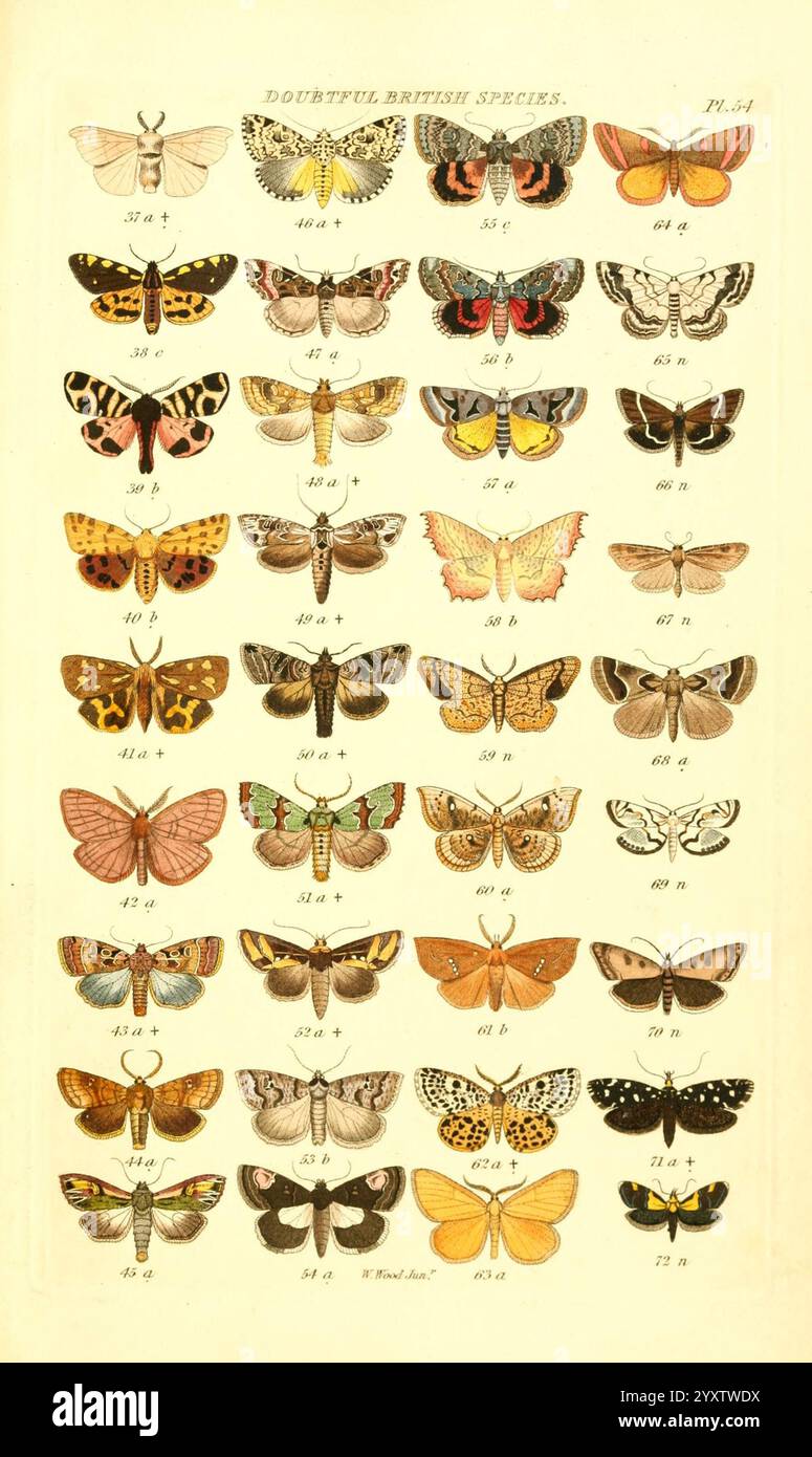 Numbered title indicating hi-res stock photography and images - Alamy