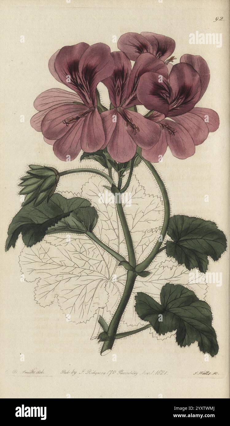 Edges enhance hi-res stock photography and images - Alamy