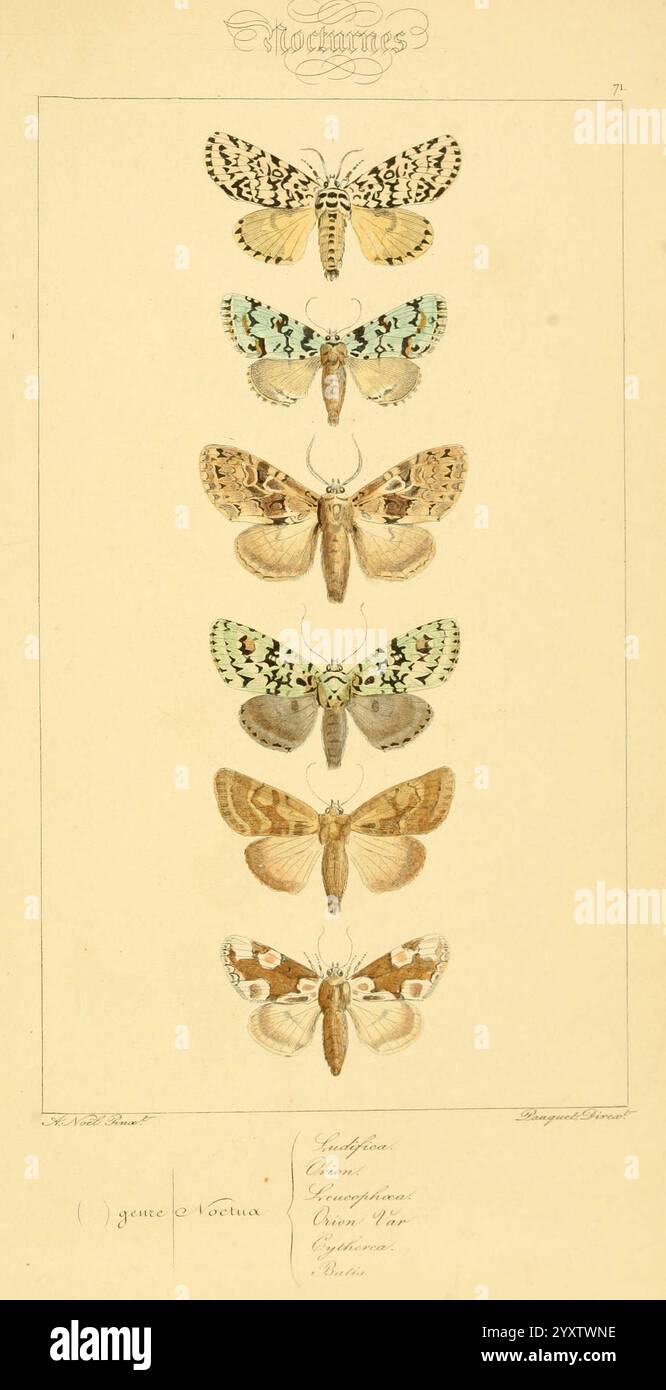 Handwritten labels provide hi-res stock photography and images - Alamy