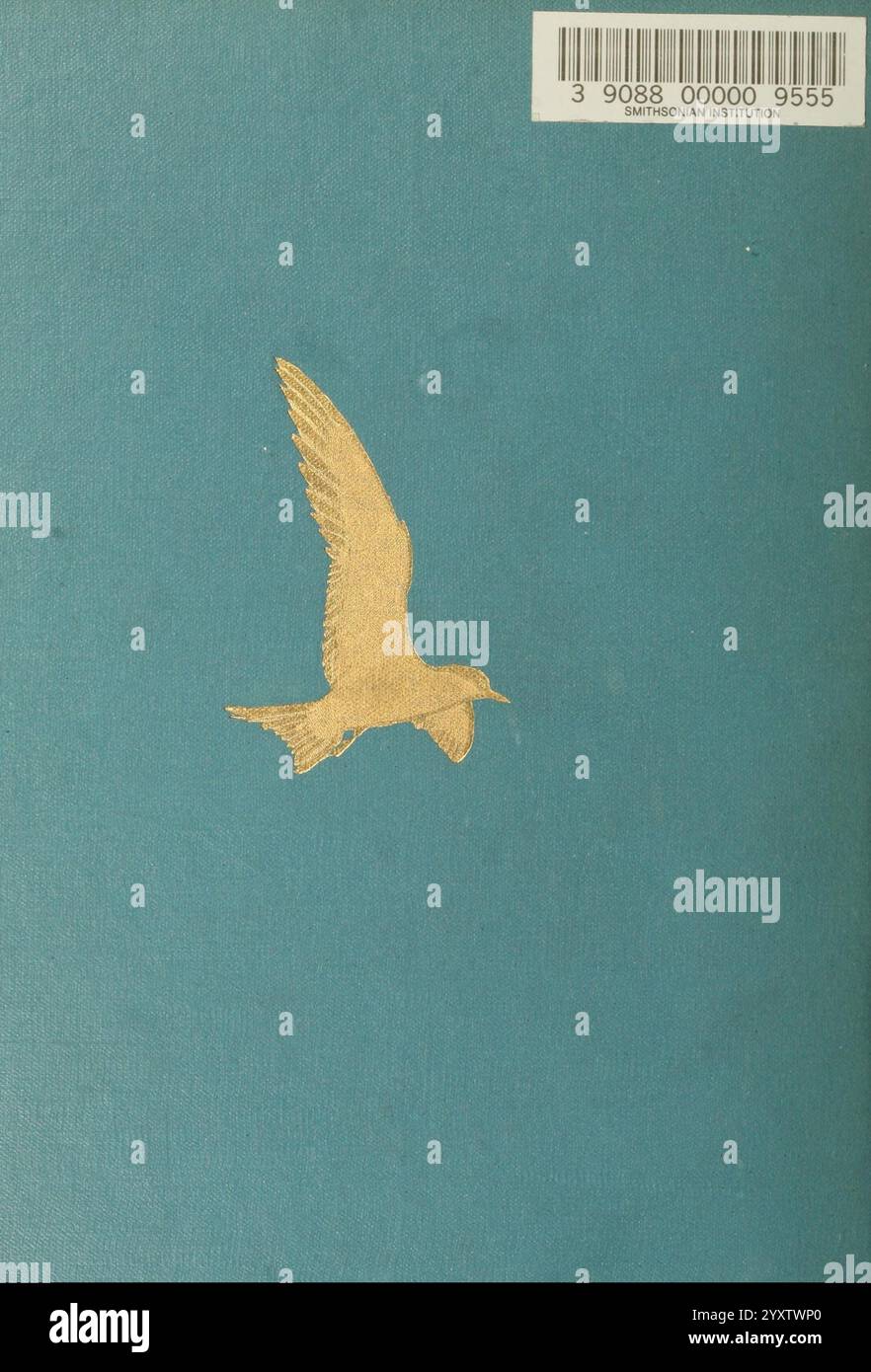 Turquoise book cover featuring hi-res stock photography and images - Alamy