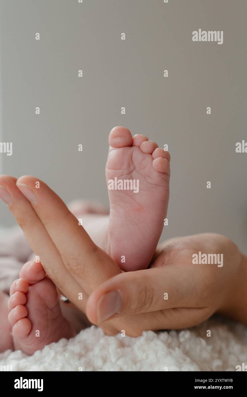 Hand holding newborn baby feet softness hi-res stock photography and ...