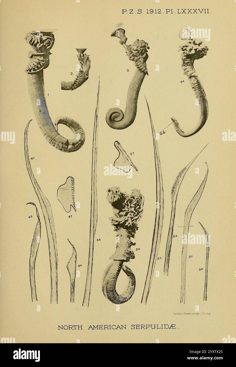 Bottom signifies hi-res stock photography and images - Alamy