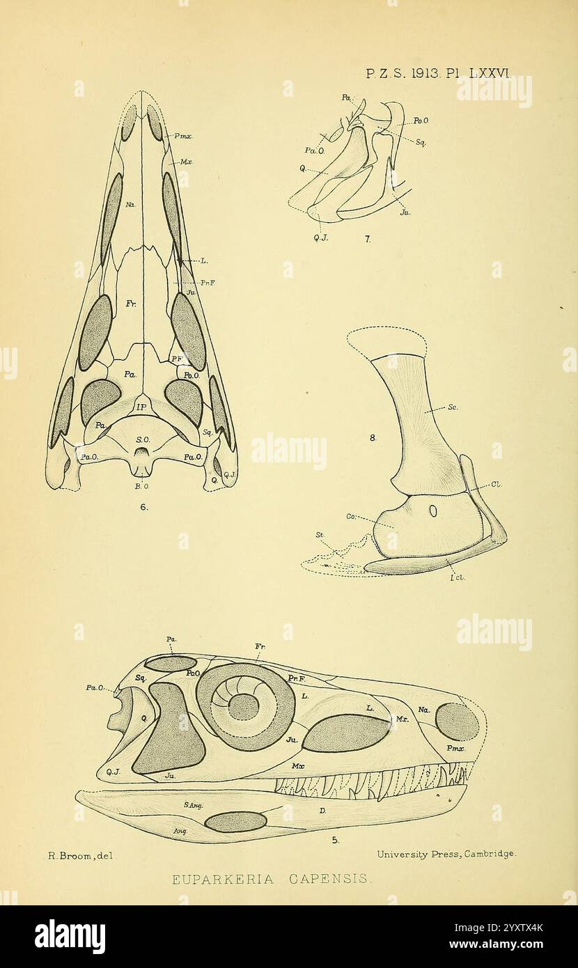 Proceedings of the Zoological Society of London, London, Academic Press ...