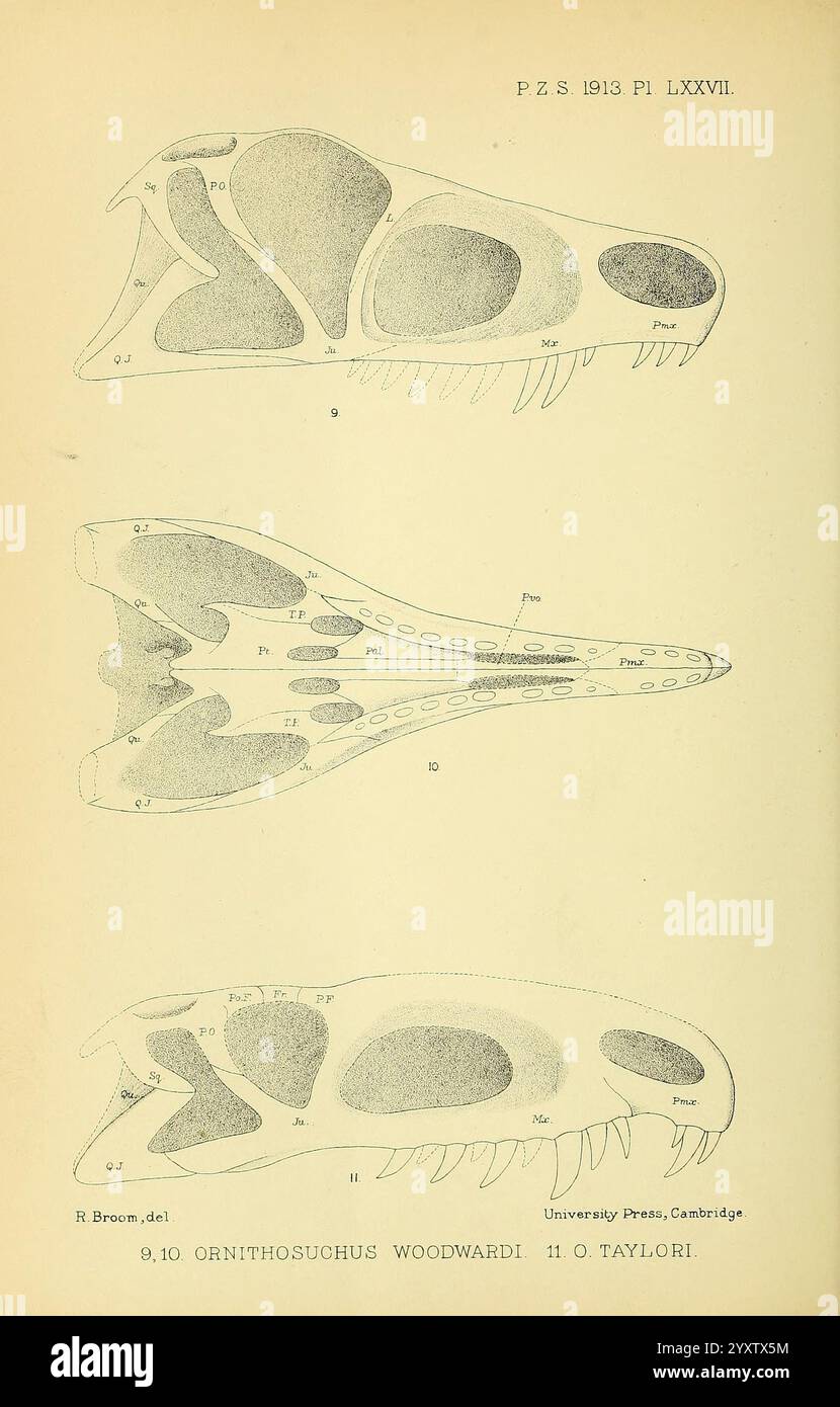 Proceedings of the Zoological Society of London, London, Academic Press ...