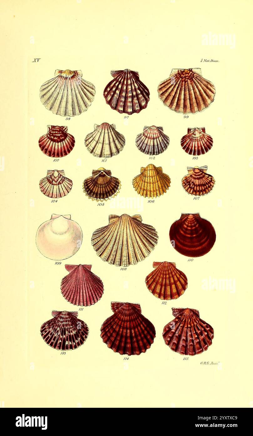 Offering viewers insight hi-res stock photography and images - Alamy