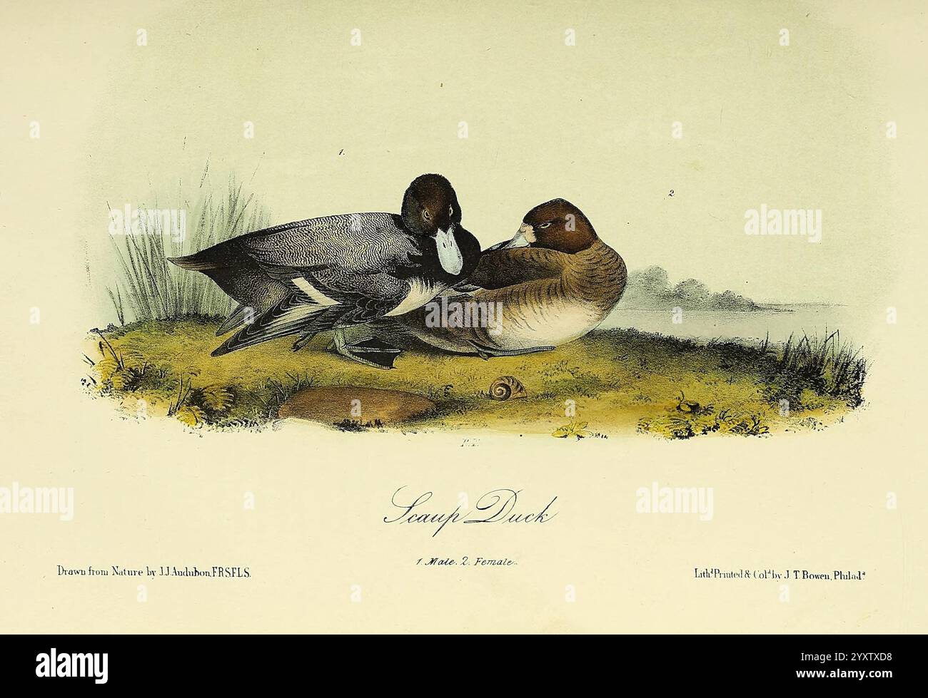 Inti works hi-res stock photography and images - Alamy