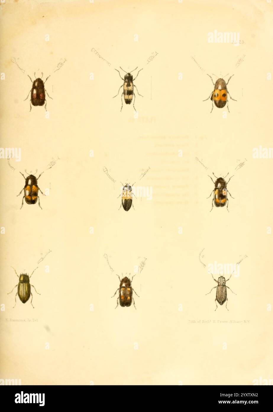 Varying color schemes hi-res stock photography and images - Alamy