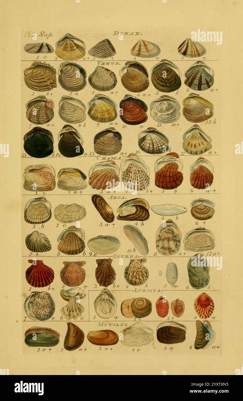 Providing identification numbers hi-res stock photography and images ...