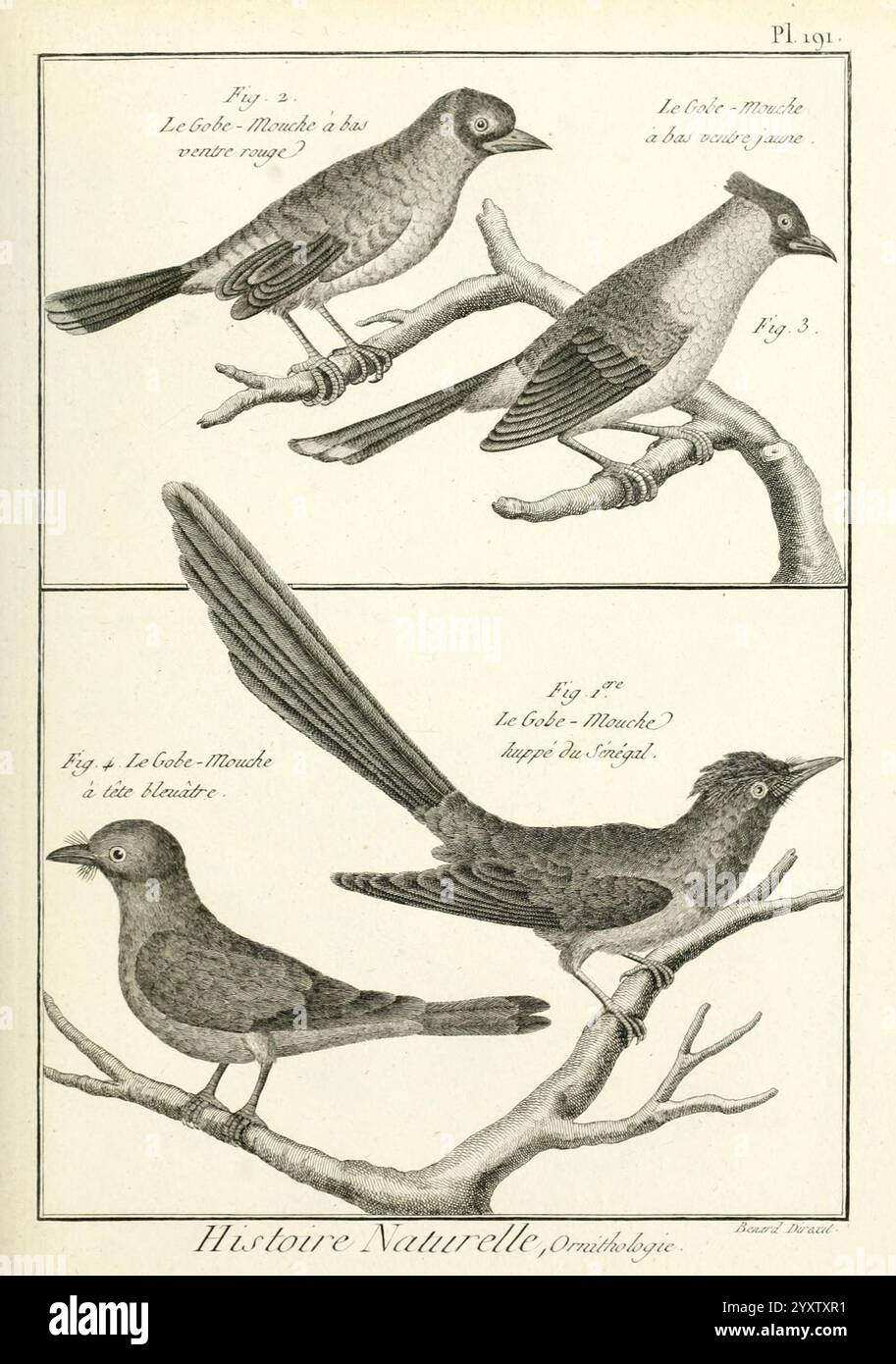 Tableau encyclopédique et méthodique des trois règnes de la nature. A ...