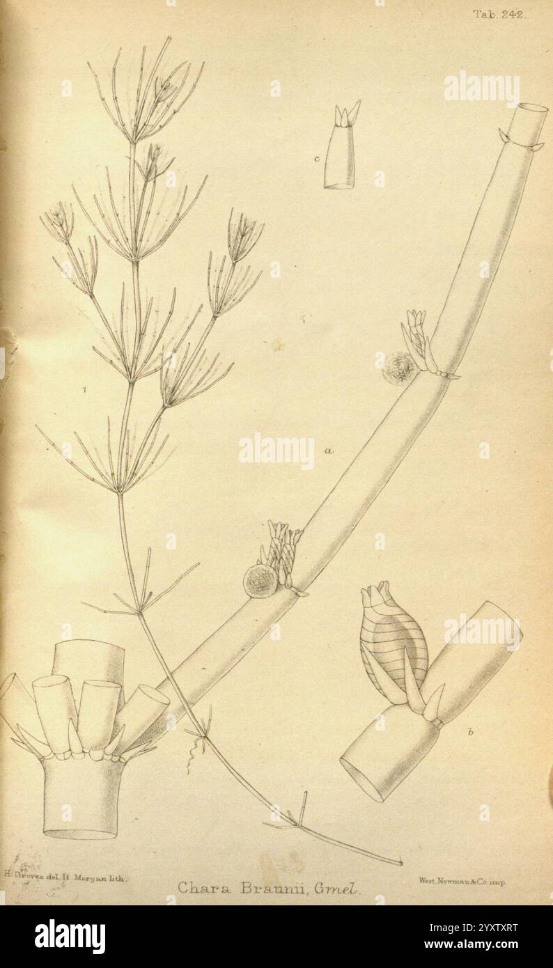 Detailed annotations highlight various features hi-res stock ...