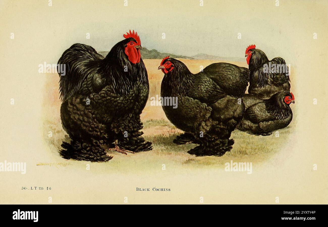 Rounded bodies covered hi-res stock photography and images - Alamy